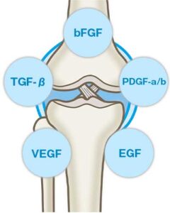 PFC-FD™療法prp | 八木病院